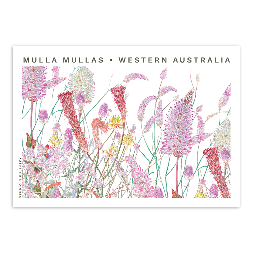 Postcard: Mulla Mullas - Western Australia – STUDIO NIKULINSKY