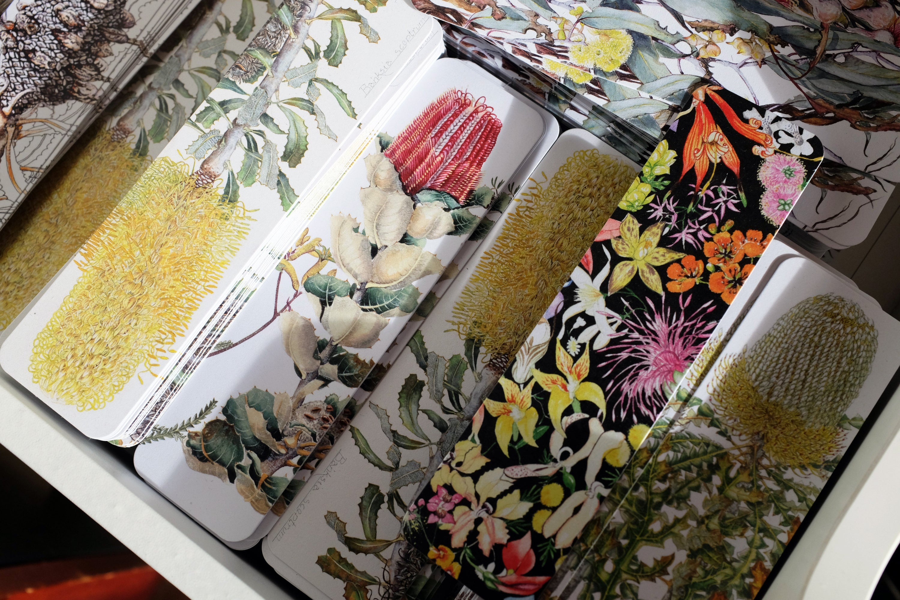 Studio Nikulinsky | Australian Botanical Art Cards & Gifts – STUDIO ...