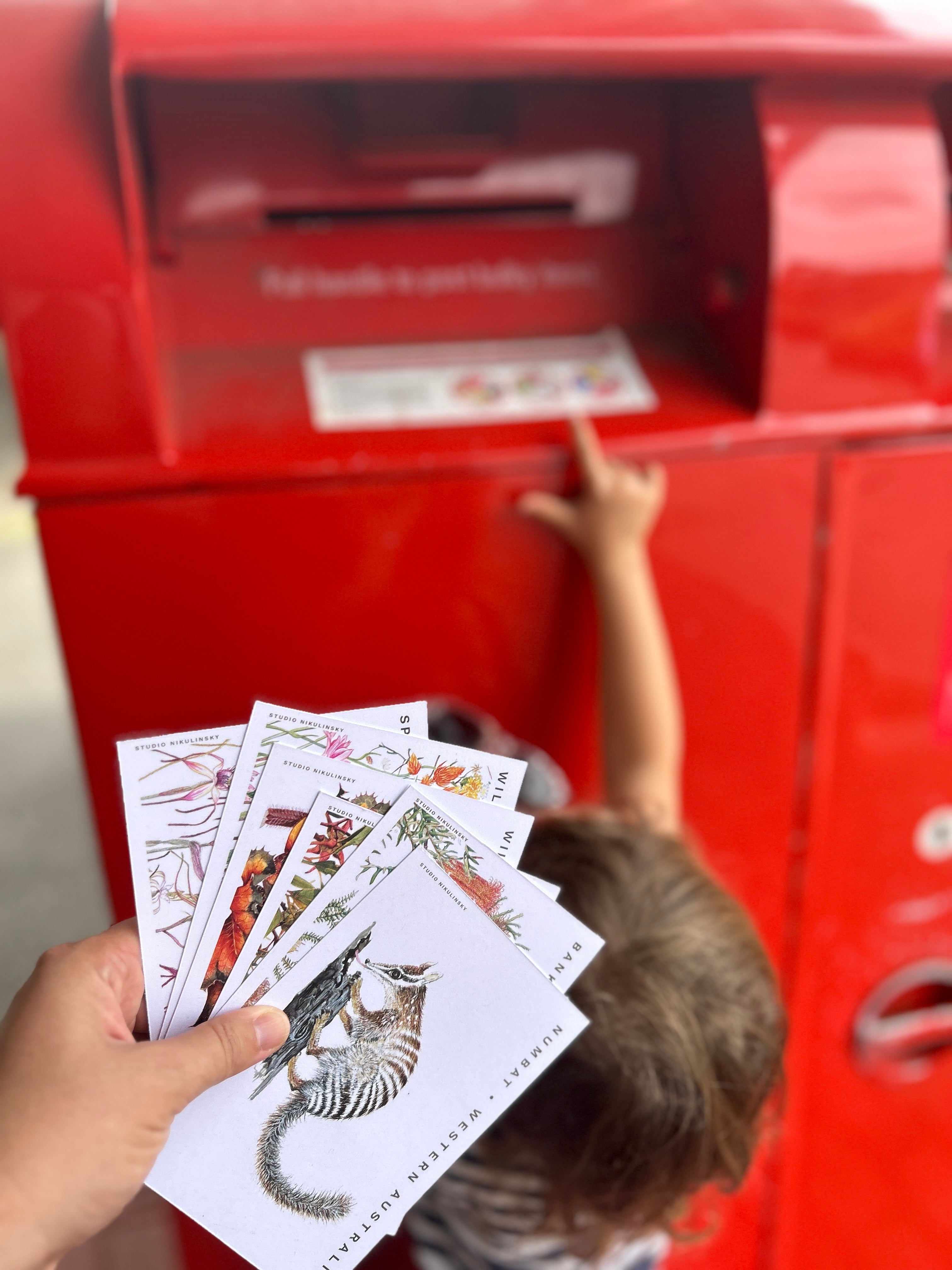 Postcards – STUDIO NIKULINSKY