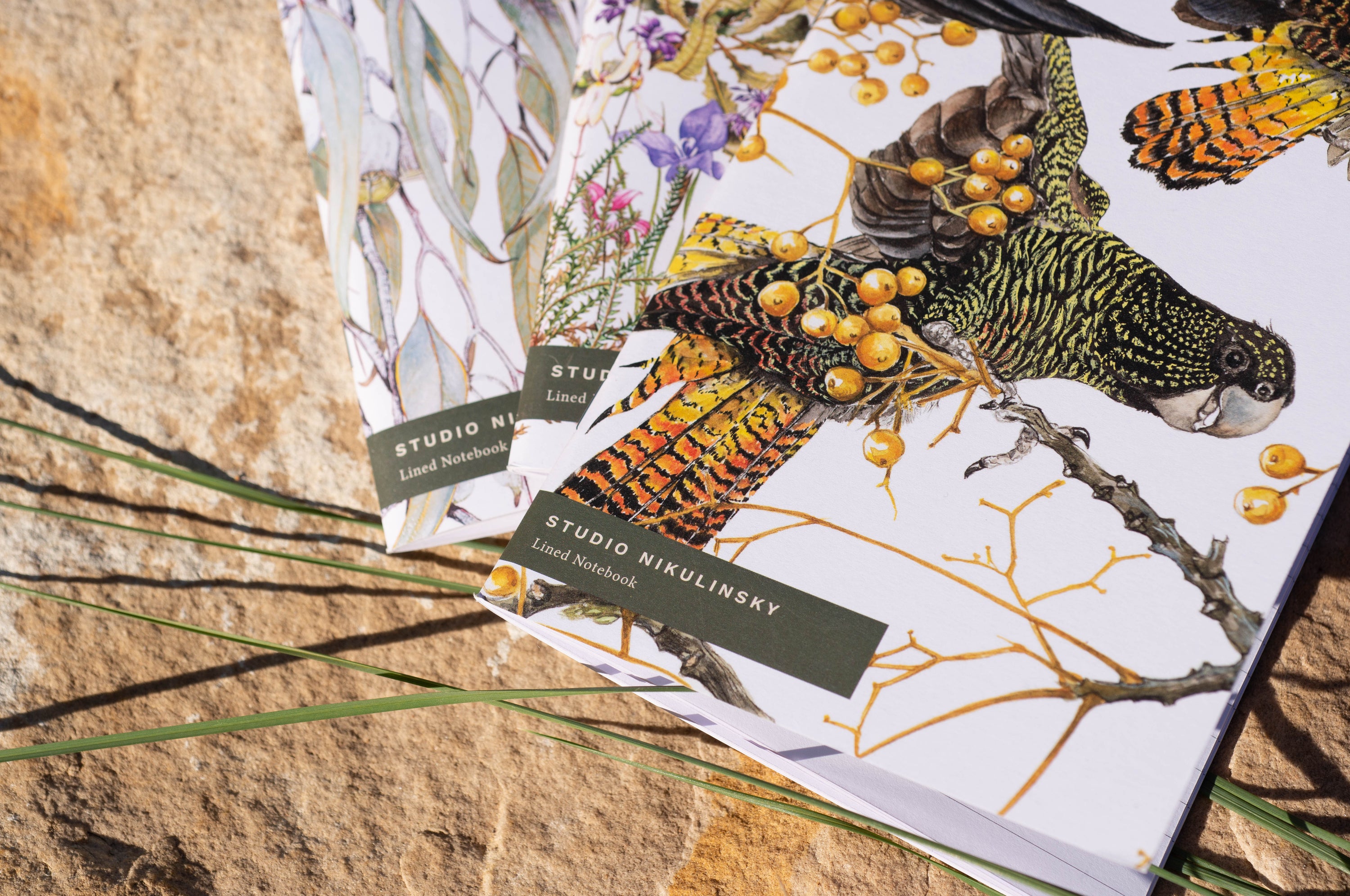 Studio Nikulinsky | Australian Botanical Art Cards & Gifts – STUDIO ...