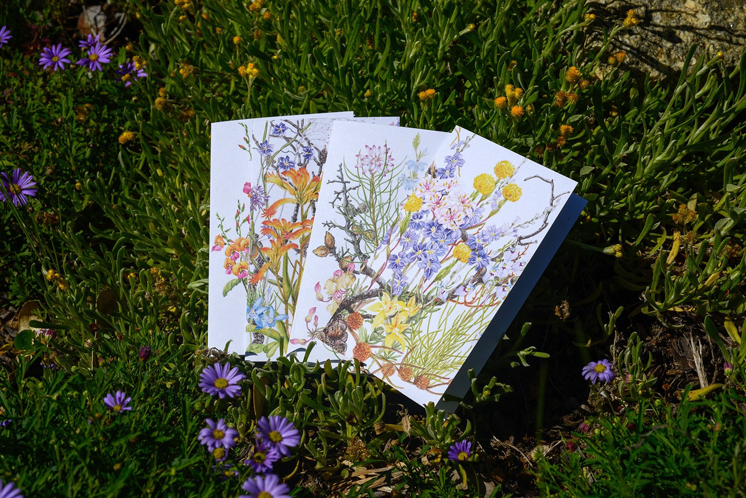 STUDIO NIKULINSKY | Greeting Cards & Gifts