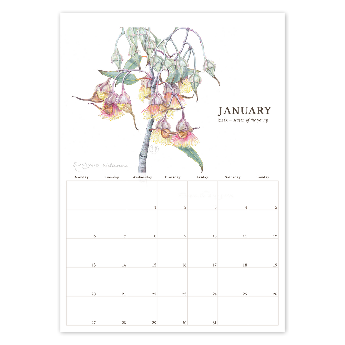 STUDIO NIKULINSKY | Greeting Cards & Gifts