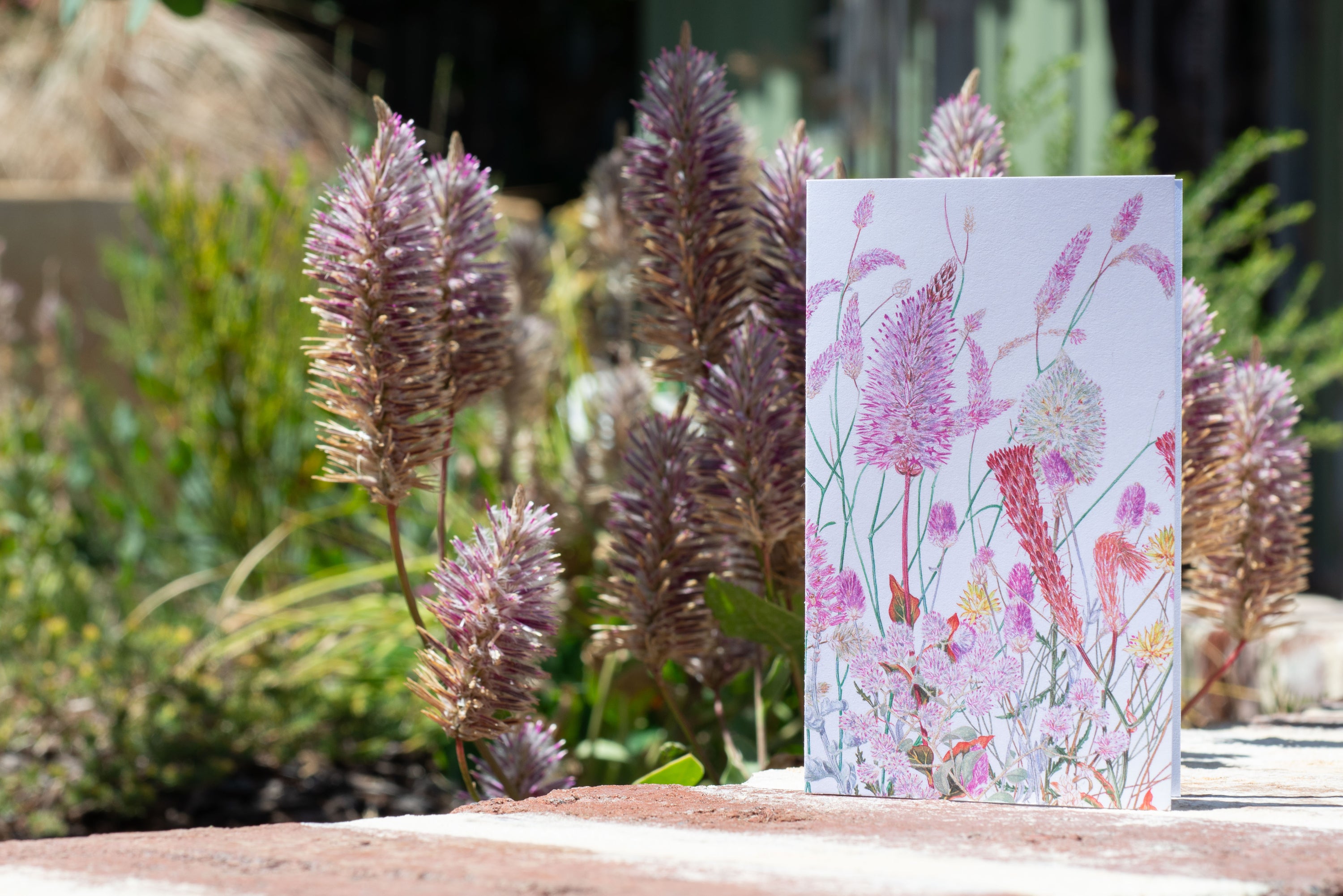 STUDIO NIKULINSKY | Greeting Cards & Gifts