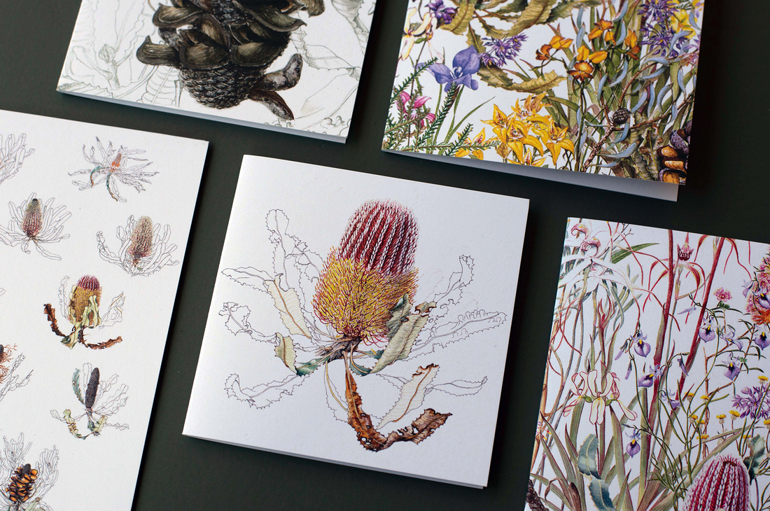 STUDIO NIKULINSKY | Greeting Cards & Gifts that Plant Trees