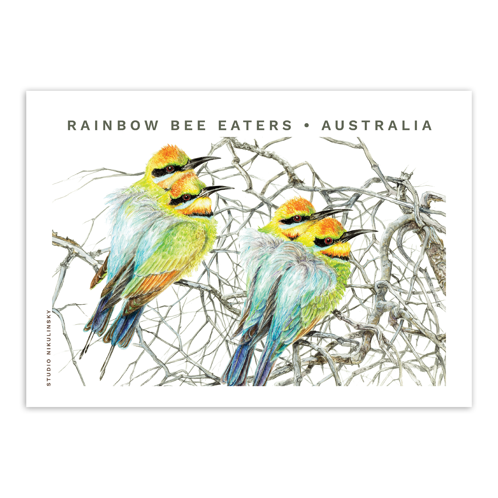 Postcard: Rainbow Bee Eaters — Australian Wildlife Watercolour Art ...