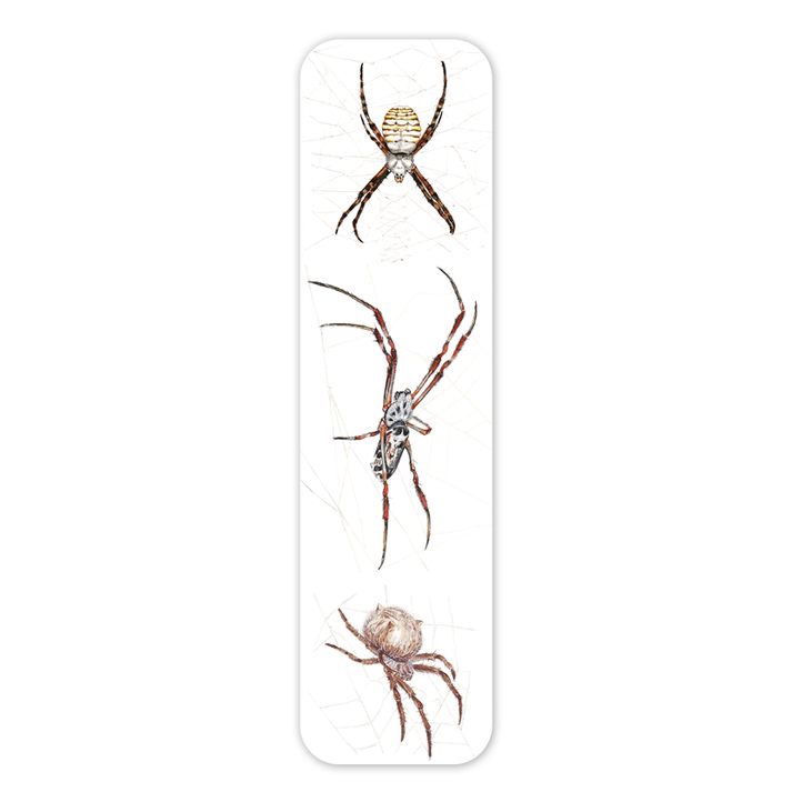 Bookmark: Spiders – STUDIO NIKULINSKY