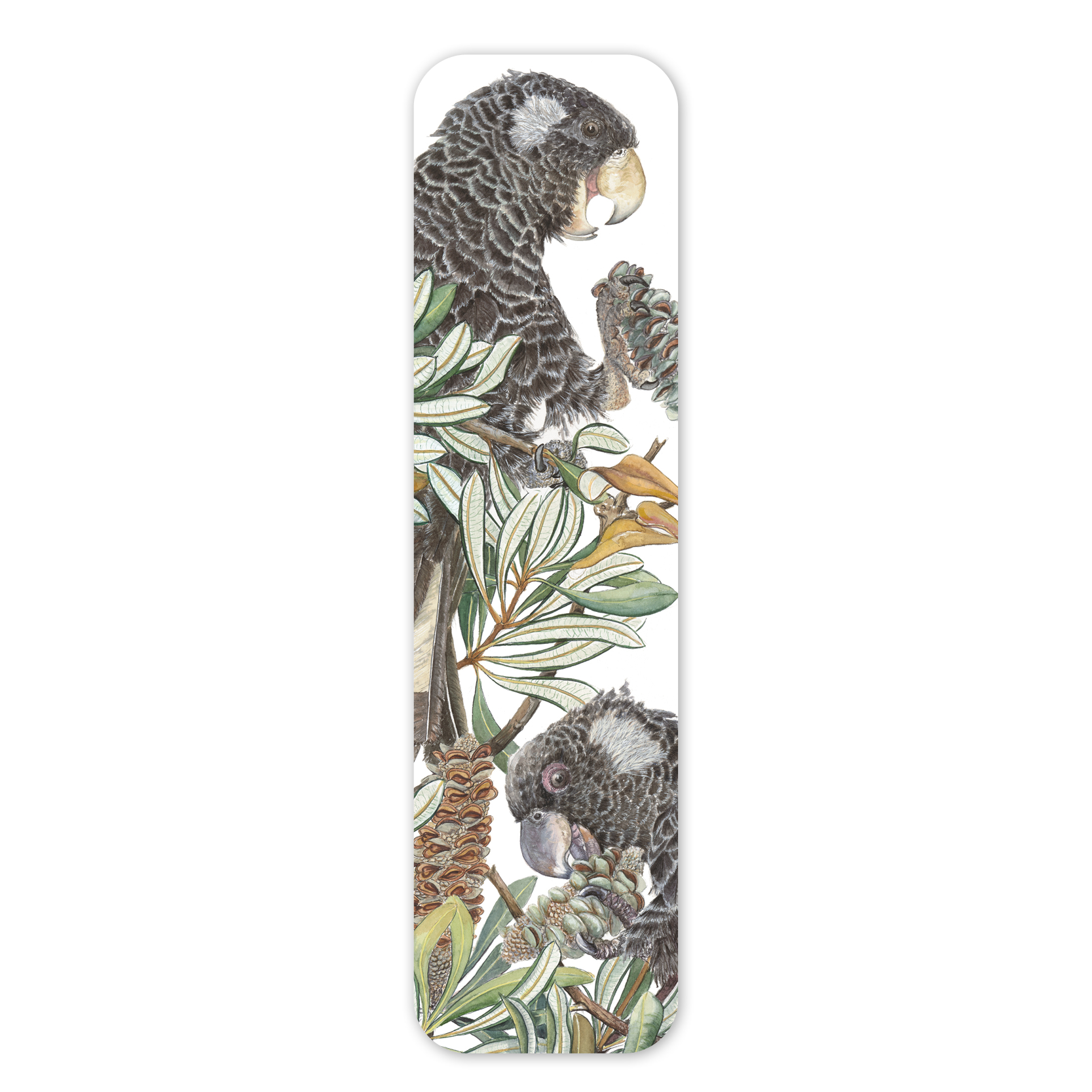Bookmark: Banksia & Cockatoos – STUDIO NIKULINSKY