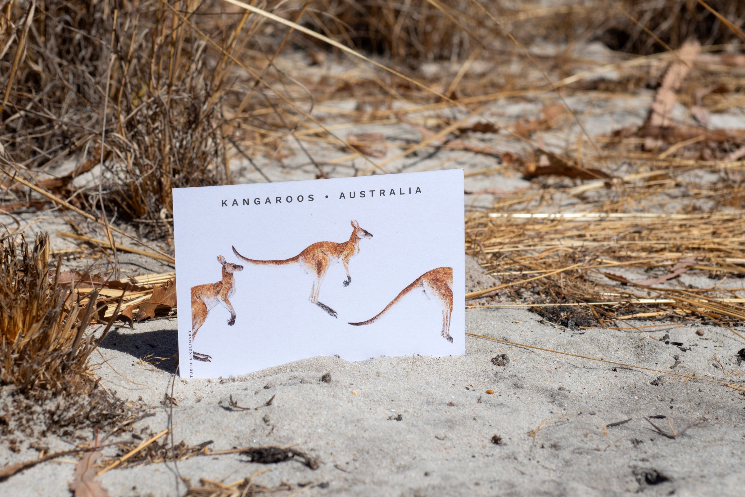 STUDIO NIKULINSKY | Greeting Cards & Gifts